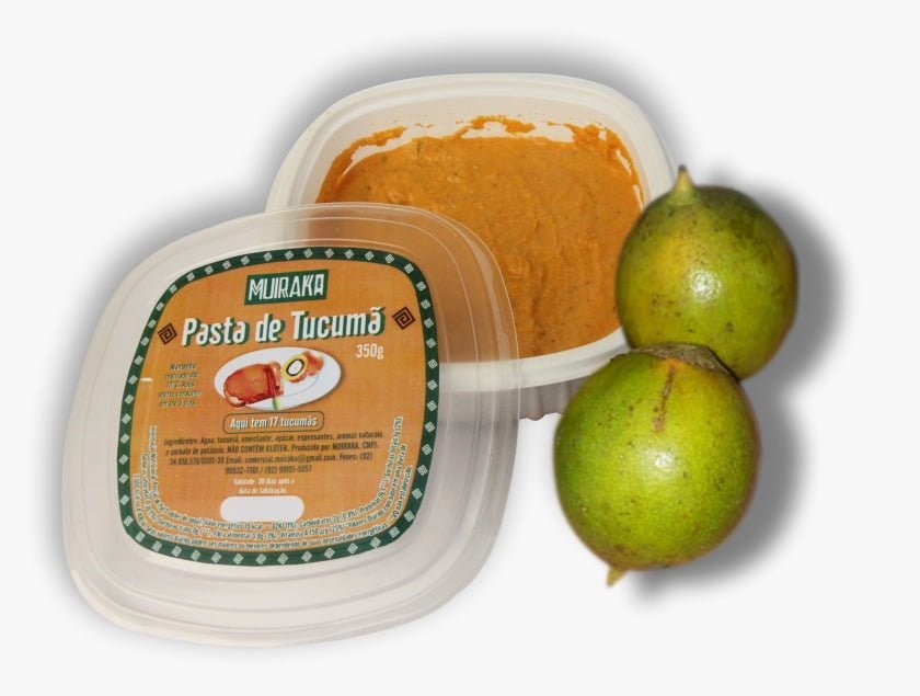 Pasta de tucumã diversifica o uso da fruta e gera interesse internacional