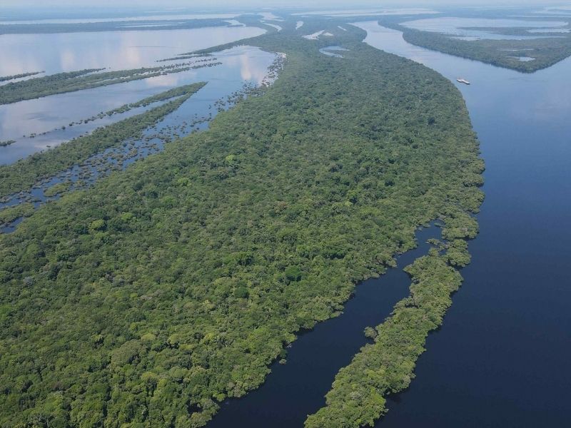 Unidades de conservação contribuem para que AM tenha maior área verde ...