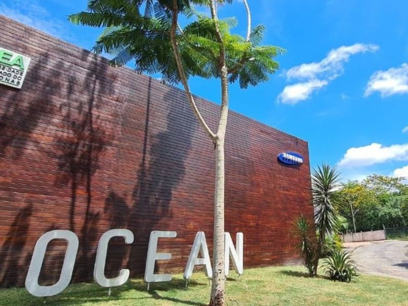 Samsung Ocean oferece aulas gratuitas em 19 áreas; confira