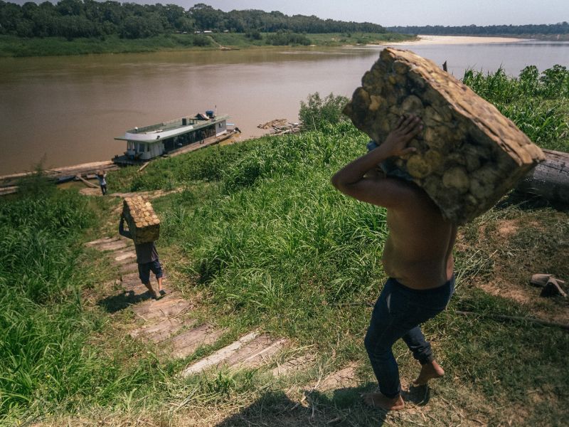 Mapa on-line mostra produtos sustentáveis em rodovia da Amazônia