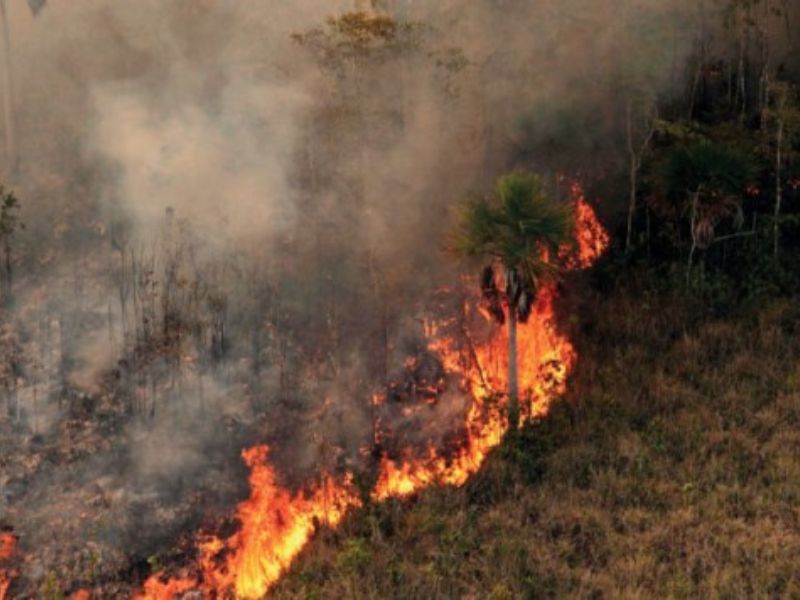 Amazônia queima mais de “duas Bélgicas” por ano desde 1985