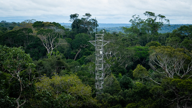 Base científica no AM é beneficiada com R$ recursos do Reino Unido