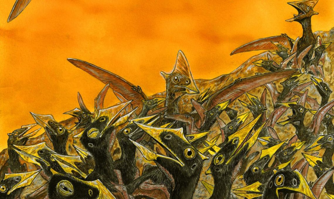 Pterossauros jovens se comportavam como as aves atuais