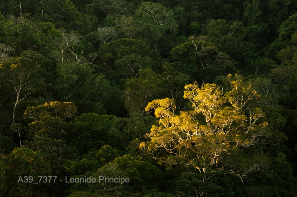 Exposição fotográfica de Leonide Principe abre dia 25, no Senado