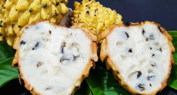 Descubra sabores autênticos: Conheça mais sobre as comidas típicas do ...