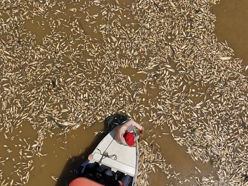 Seca catastrófica na Amazônia ameaça produção sustentável que mantém ...
