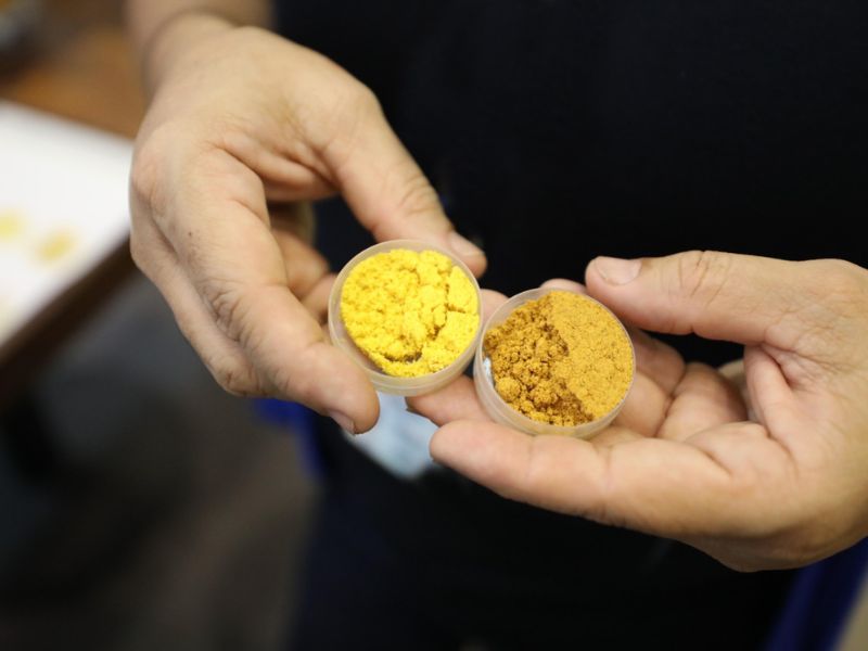 Corante natural utiliza resíduos de frutos amazônicos ricos em vitamina A