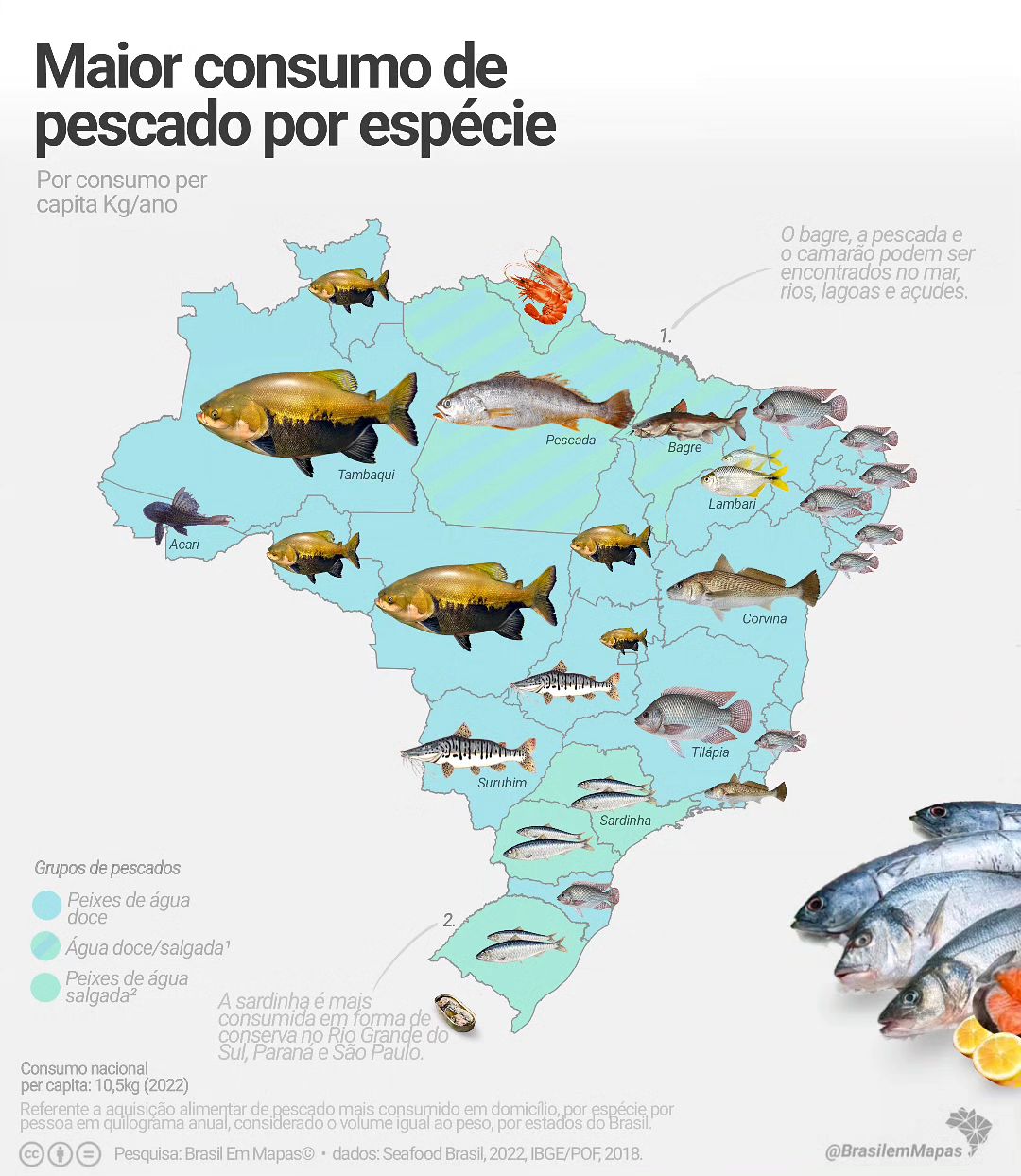 Amazonas se destaca como maior consumidor de peixes do Brasil - RealTime1