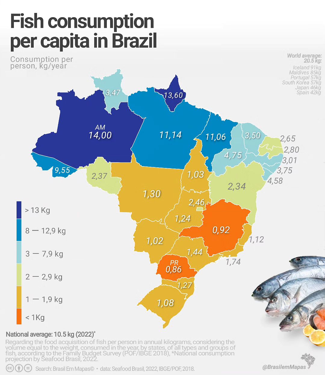 Amazonas se destaca como maior consumidor de peixes do Brasil - RealTime1