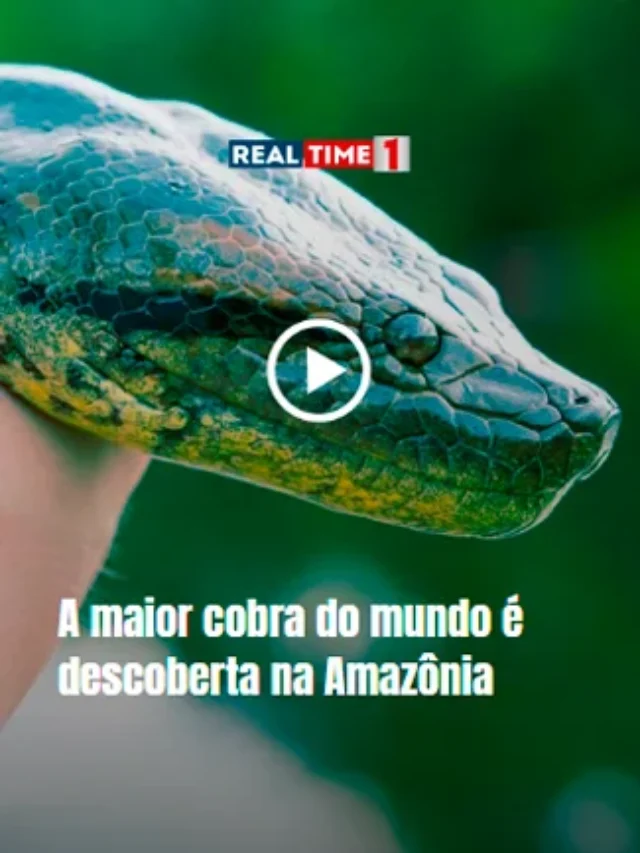 A maior cobra do mundo é descoberta na Amazônia – RealTime1