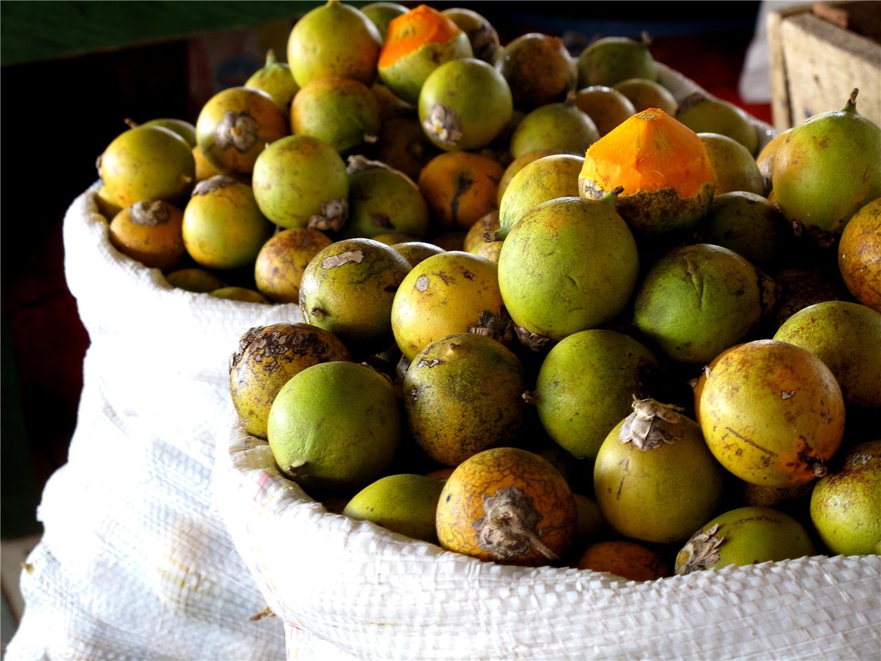 Tucumã pode se tornar Patrimônio Cultural Imaterial do Amazonas - RealTime1