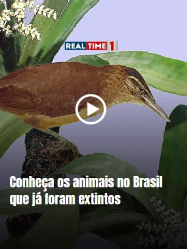 Conheça os animais no Brasil que já foram extintos – RealTime1