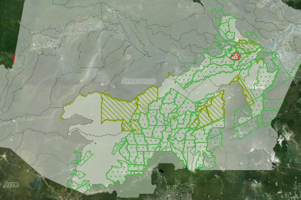 Observatório lança mapa interativo com dados detalhados sobre a BR-319 ...