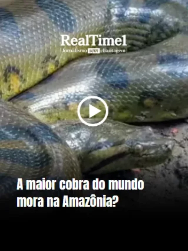 A maior cobra do mundo mora na Amazônia? – RealTime1